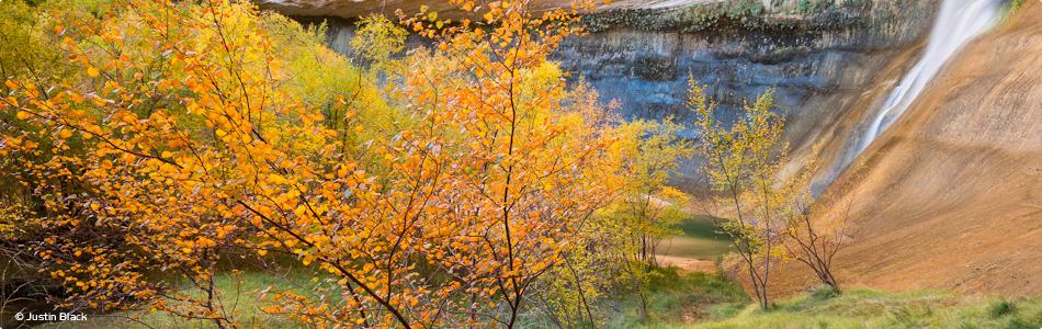 visionarywild.com ( Boulder, Utah )