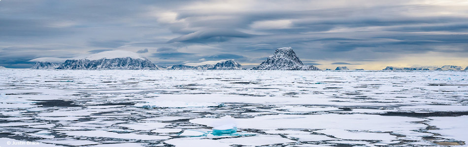 visionarywild.com ( Svalbard )