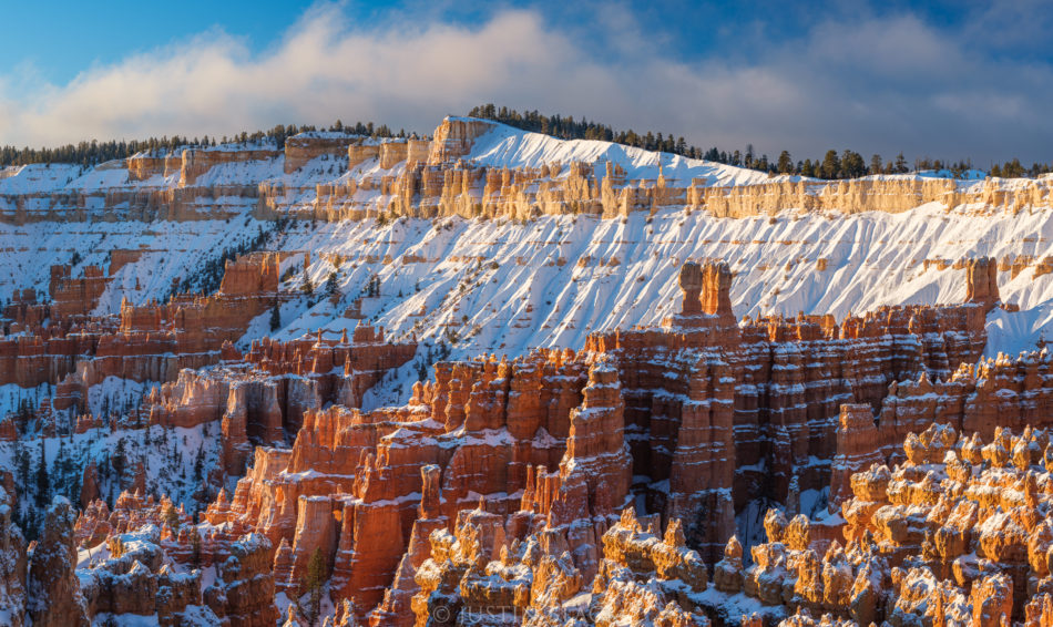 Visionary Wild (Bryce in Winter • Visionary Wild )