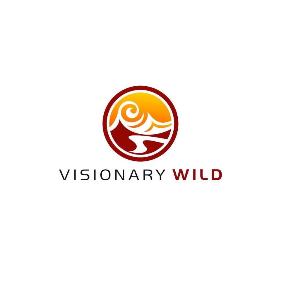 Visionary